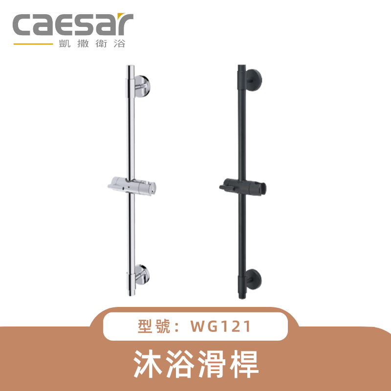 CAESAR凱撒衛浴 不鏽鋼 升降滑桿 WG121