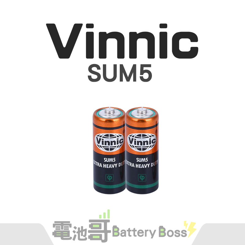 轉經輪電池 5號電池 SUM5 N SIZE R1 N 碳鋅電池 LR1 AM5 910A Vinnic